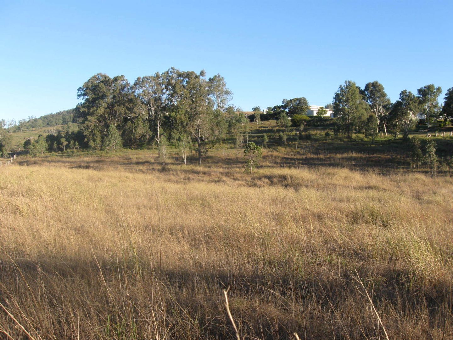 13 Saleyard Road, Winya | Property History & Address Research | Domain