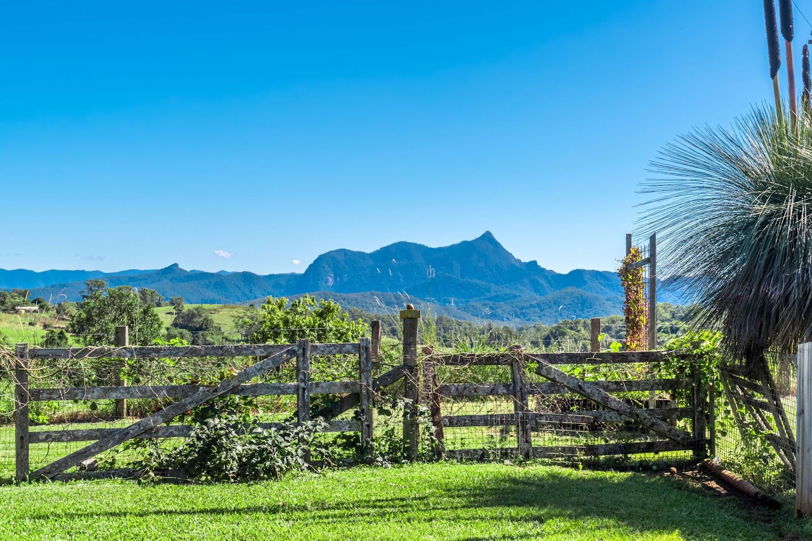 6 McCabes Road, Doon Doon NSW 2484 - House for Sale | Domain