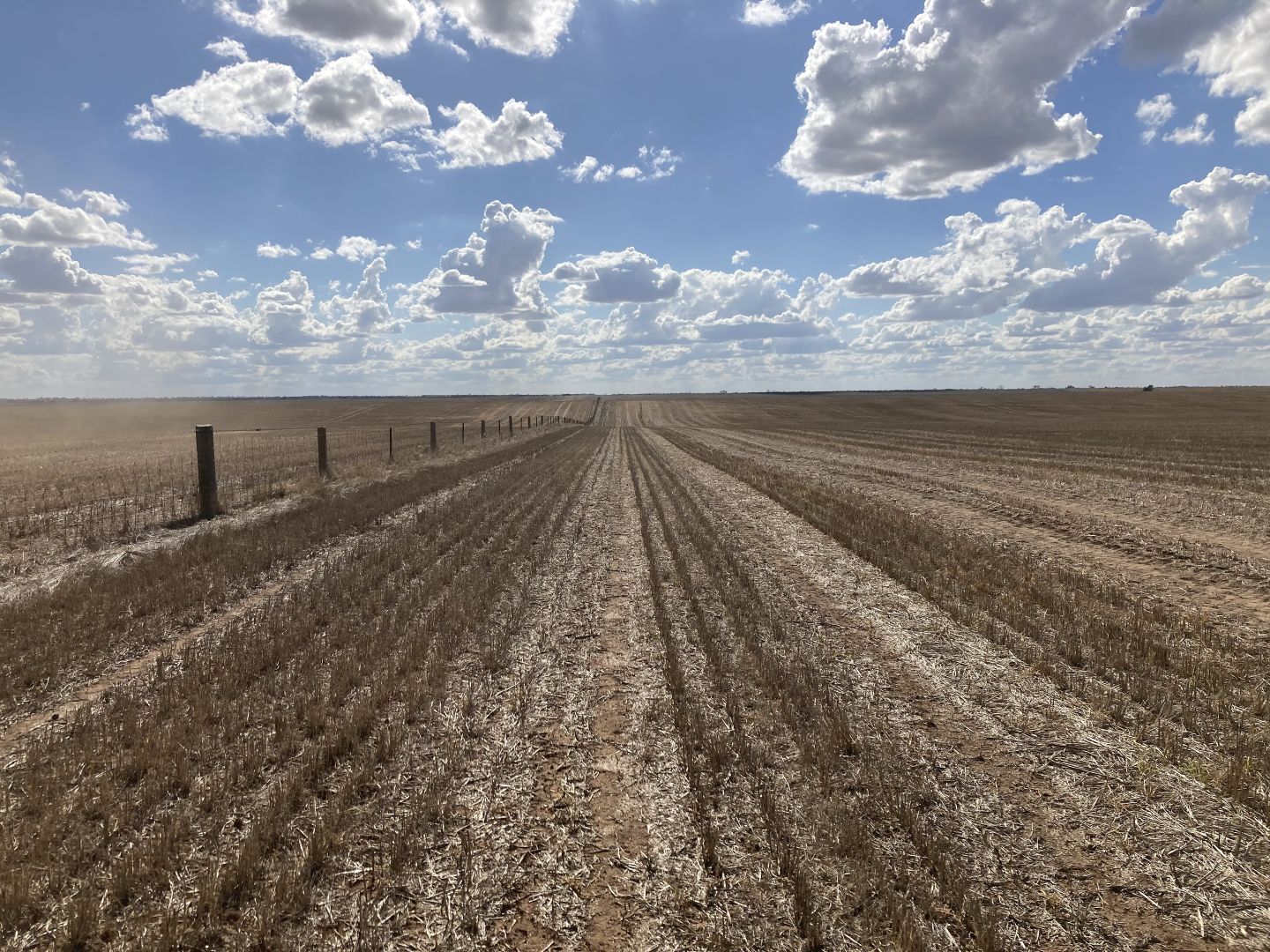 3206 Borung Highway, Donald VIC 3480 - House for Sale | Domain