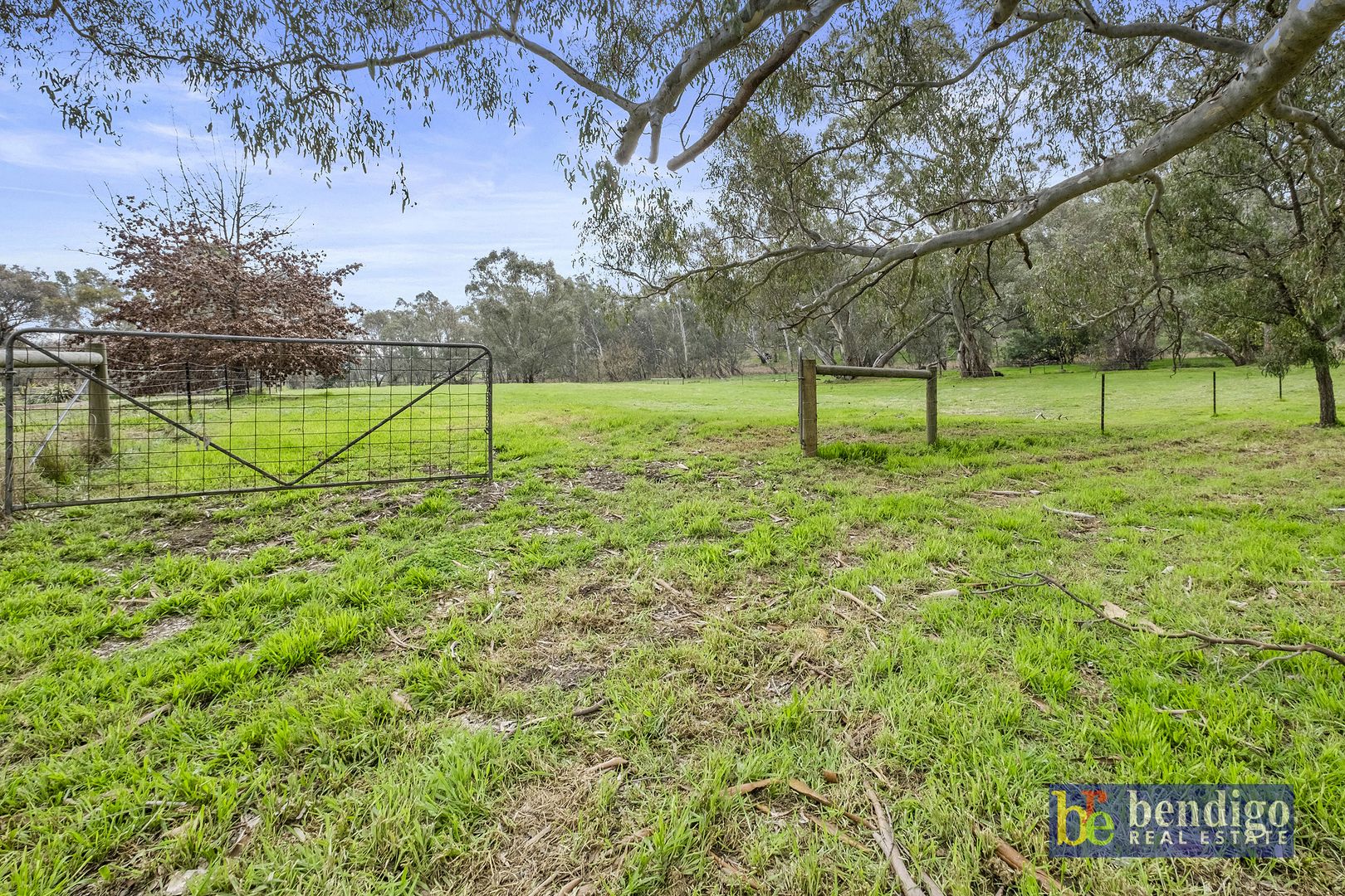 23a Brooke Street, Lockwood South VIC 3551 | Domain