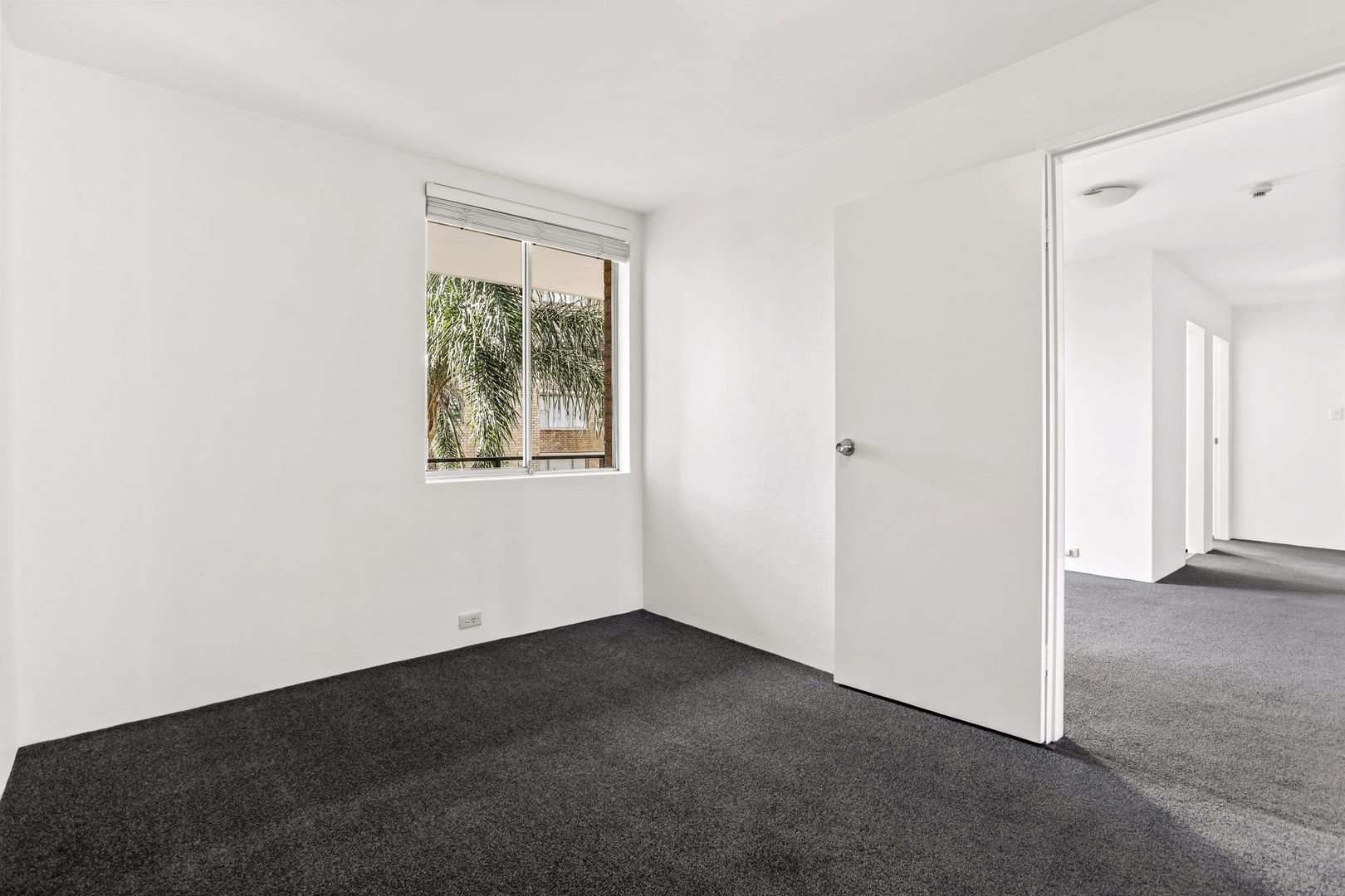 19/57-67 Cook Road, Centennial Park NSW 2021 - Apartment For Rent ...