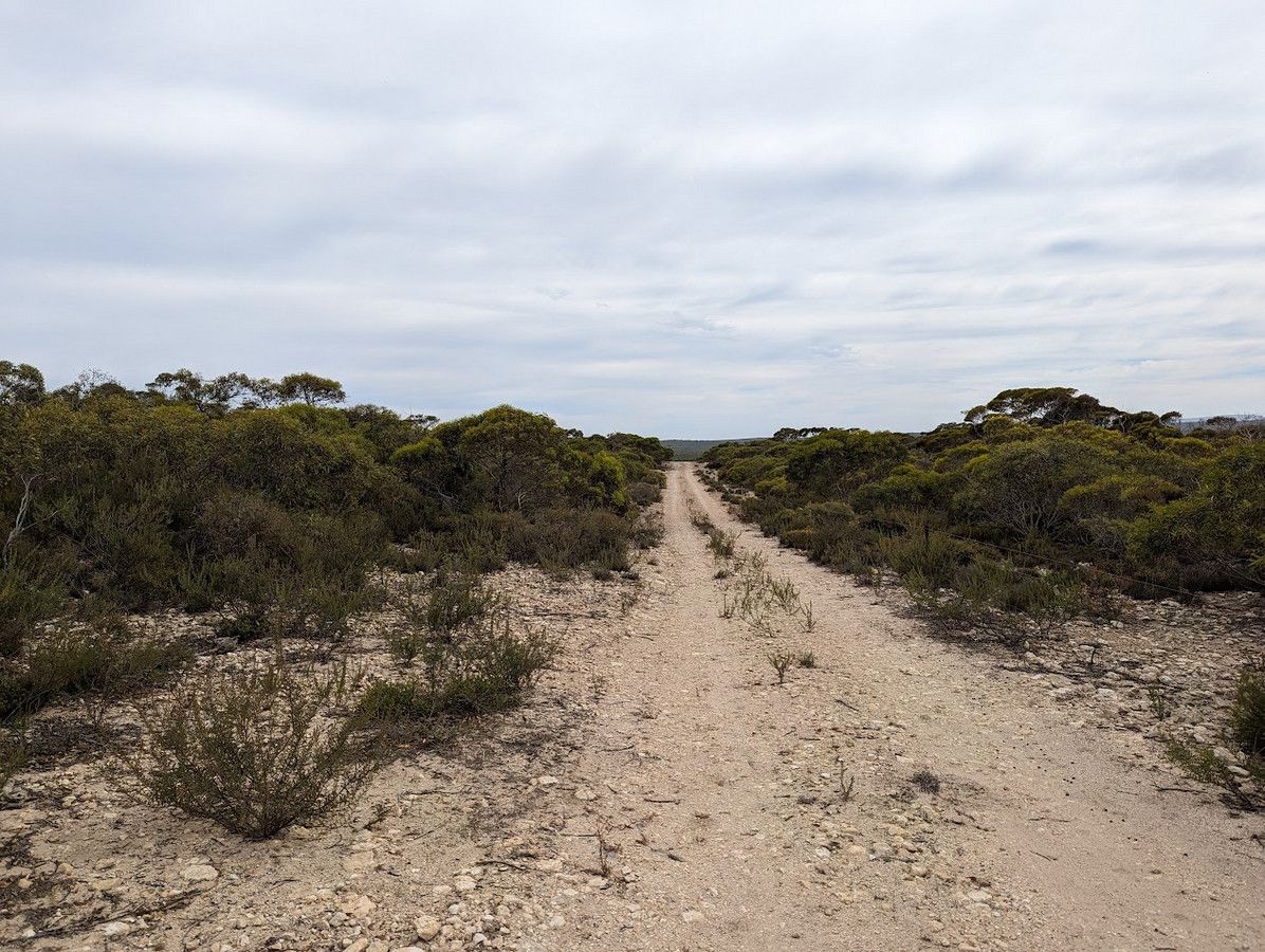 Section 56 Old Coach Road, Bramfield SA 5670 | Domain