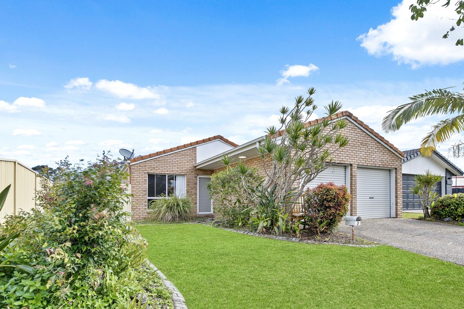 3 Calluna Place, Mountain Creek QLD 4557 - House For Rent - $670 | Domain