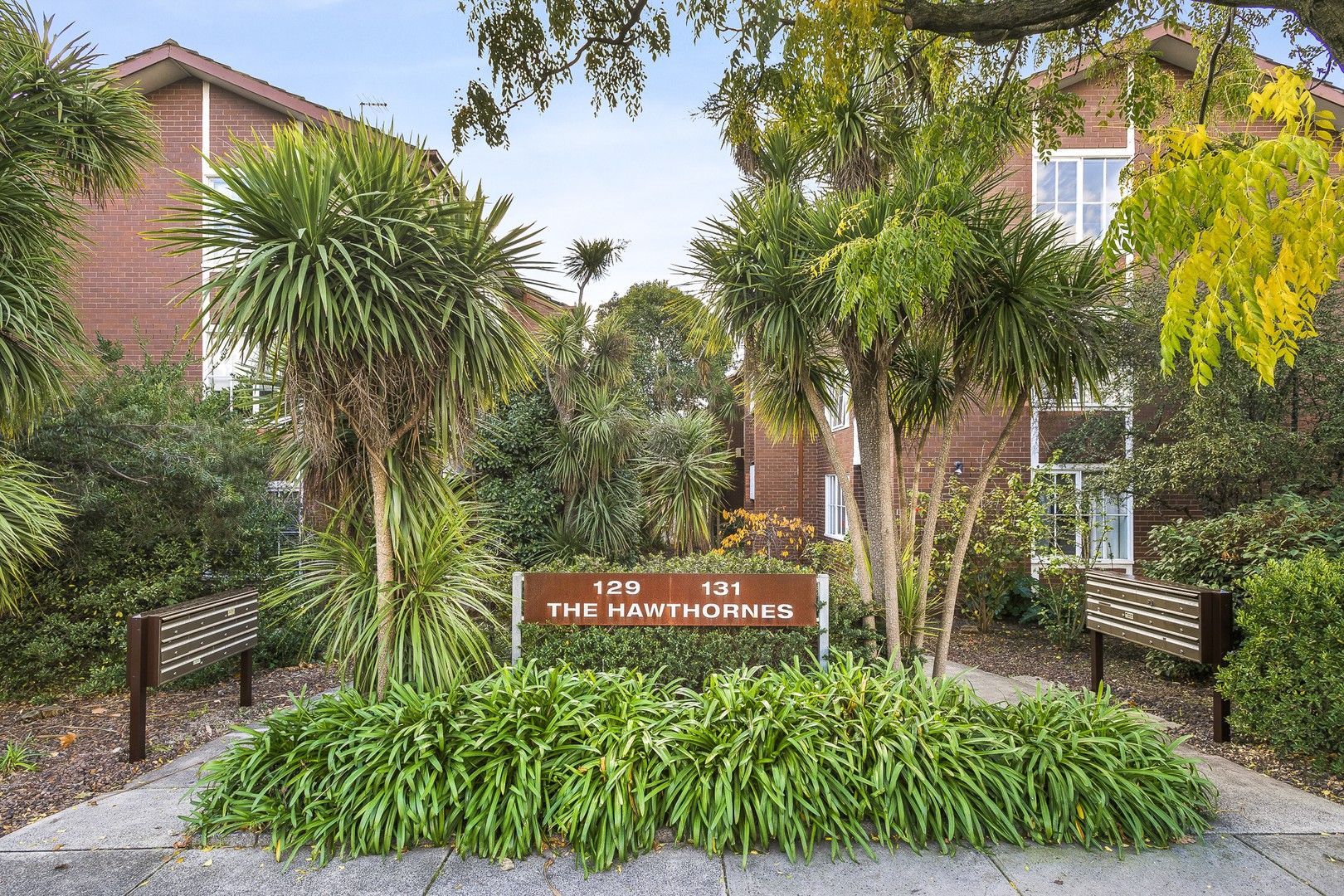 13/129-131 Riversdale Road, Hawthorn VIC 3122 - Apartment For Rent | Domain