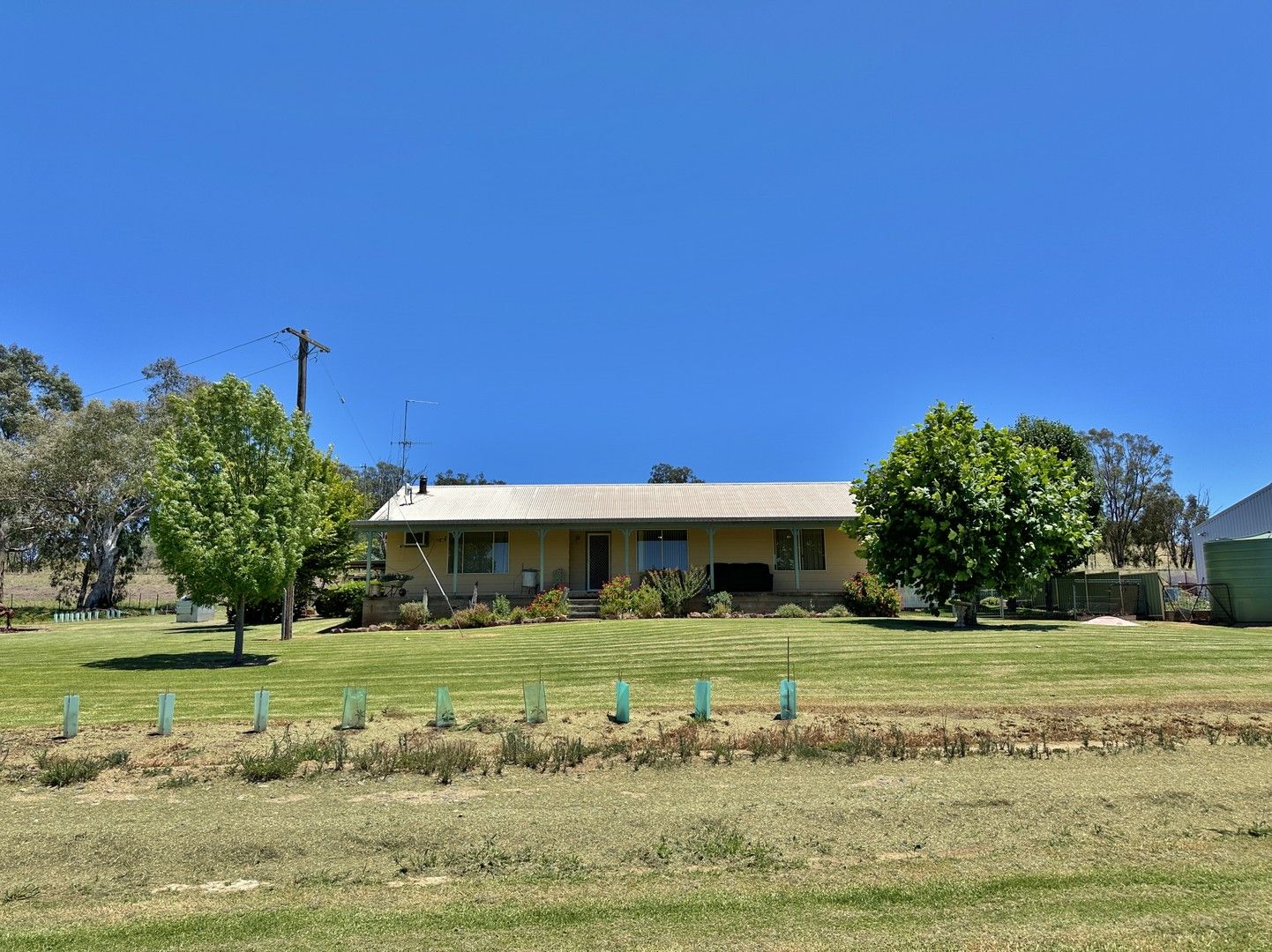 11 Phillips Street, Bendick Murrell Via, Young NSW 2594 | Domain