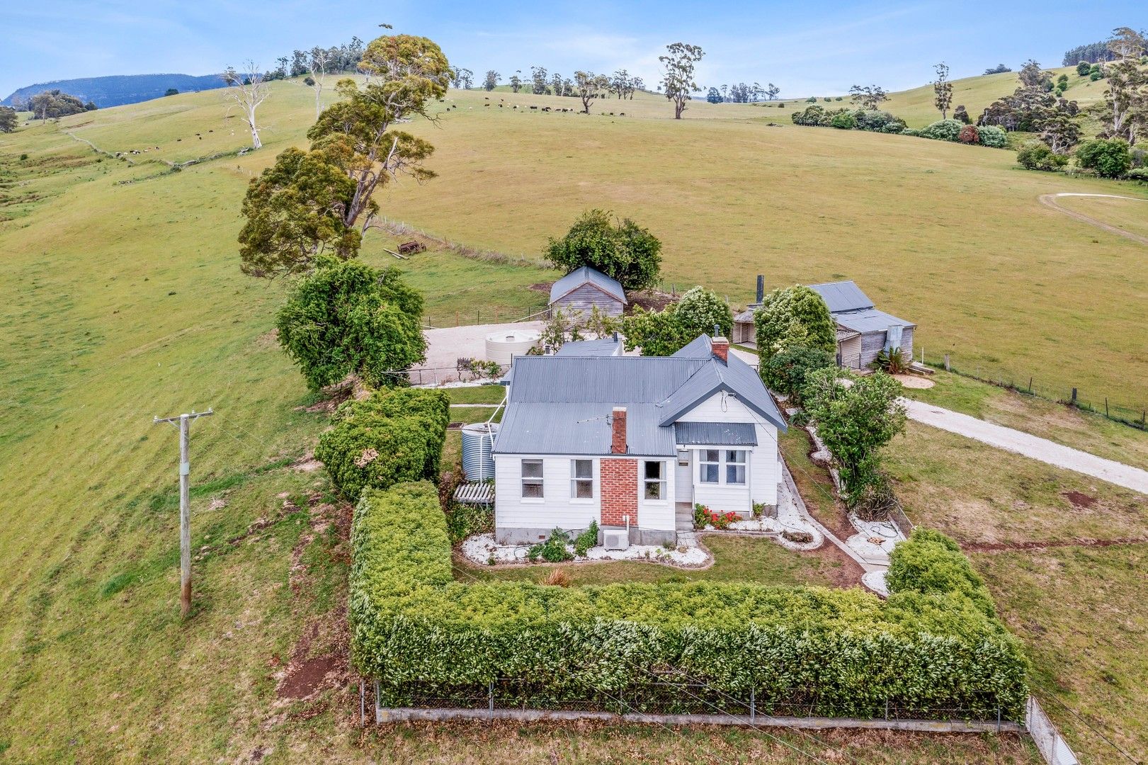 229 Brooklyn Road, Moltema TAS 7304 - House For Rent | Domain