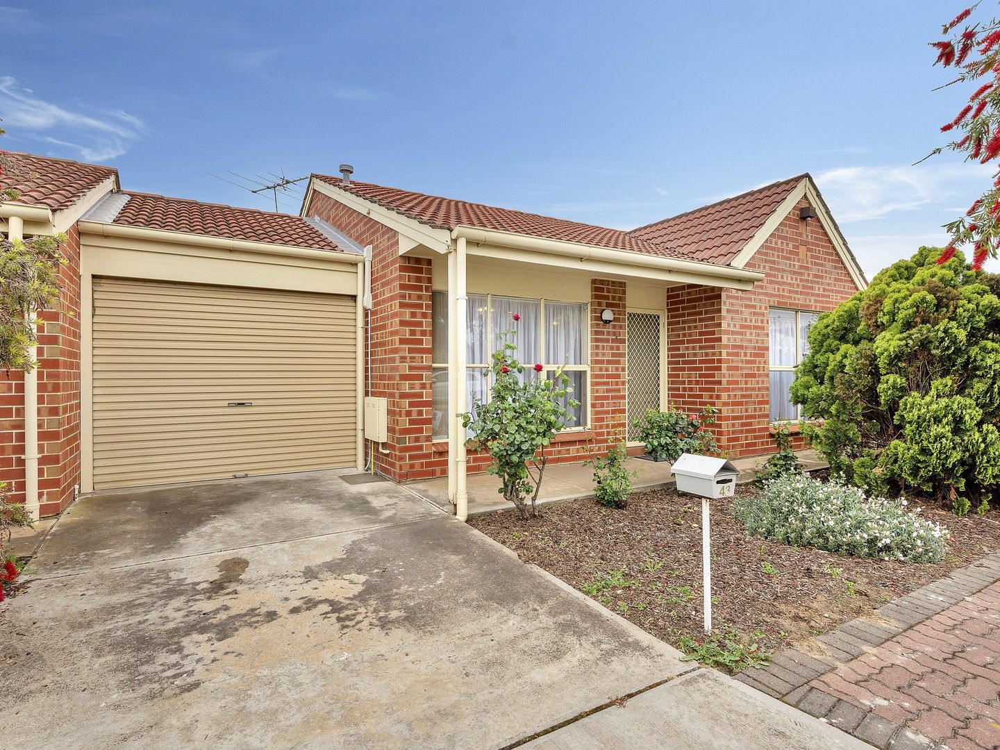 43 Olive Street, Largs Bay SA 5016 - House for Rent | Domain