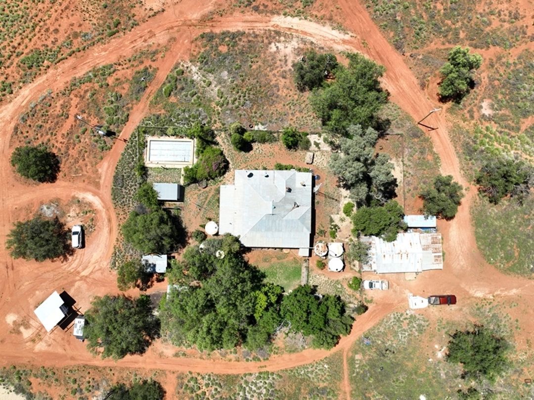 Springvale, Cumborah NSW 2832 - House for Sale | Domain