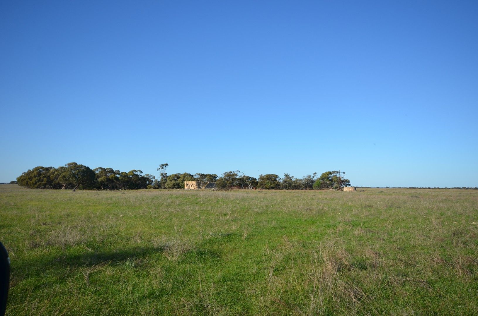 Lots 91,91 & 393 Peter Road, Sherlock SA 5301 - Specialist Farm for ...