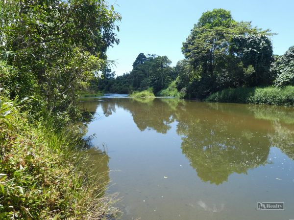 Silkwood QLD 4856 - Specialist Farm for Sale - $790,000 | Domain