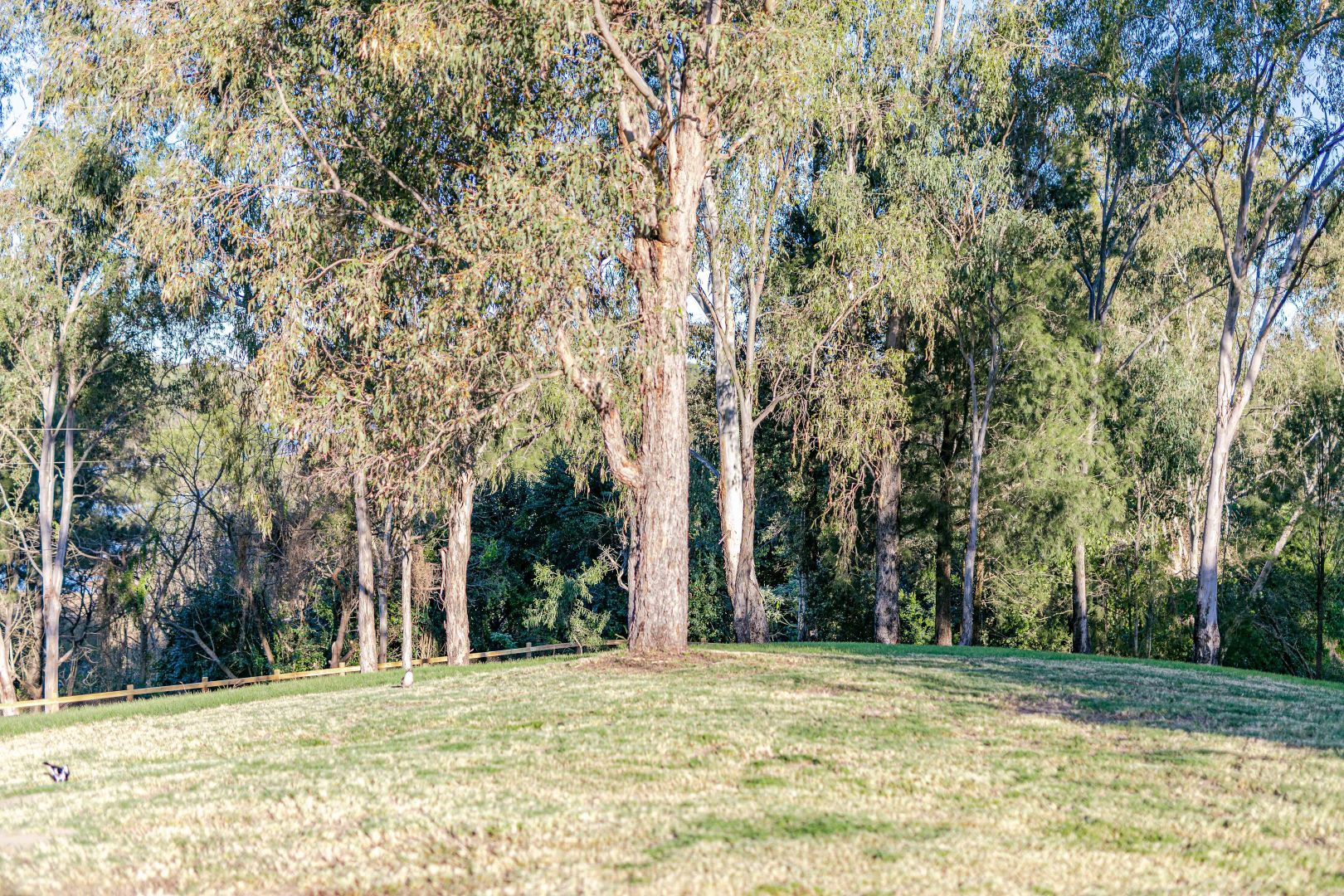 1 Riverbank Drive, Emu Heights NSW 2750 | Domain