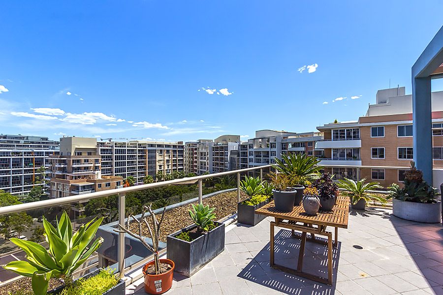 49/22 Crystal Street, Waterloo NSW 2017 - Apartment For Rent - $1,200 ...