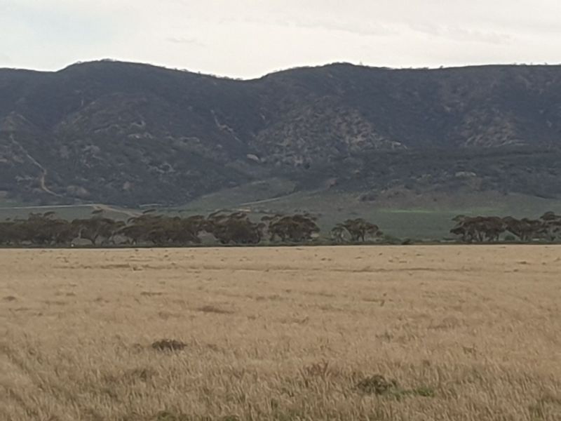 Lot 1 Miranda Rd, Miranda SA 5700 | Domain