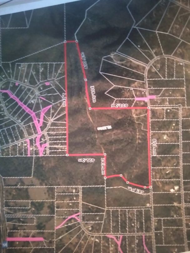 Logan Village QLD 4207 - House for Sale | Domain