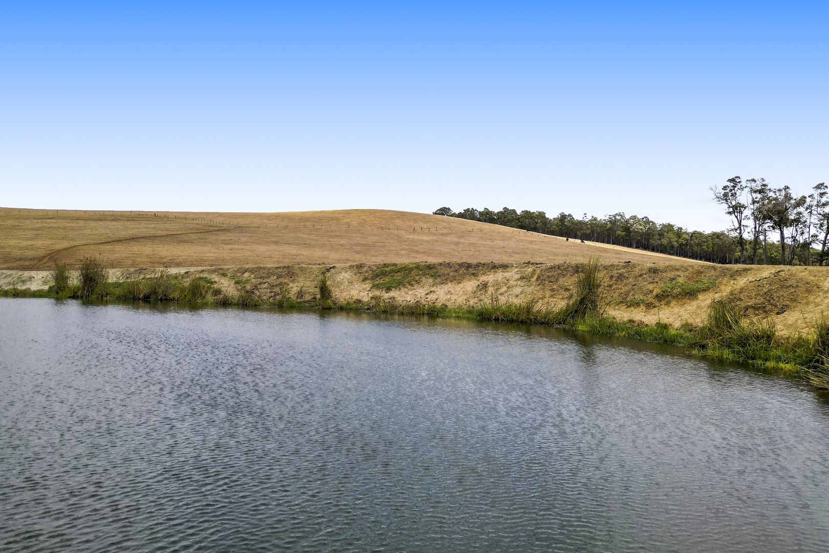 Lot 801 Graphite Road, Nannup WA 6275 | Domain