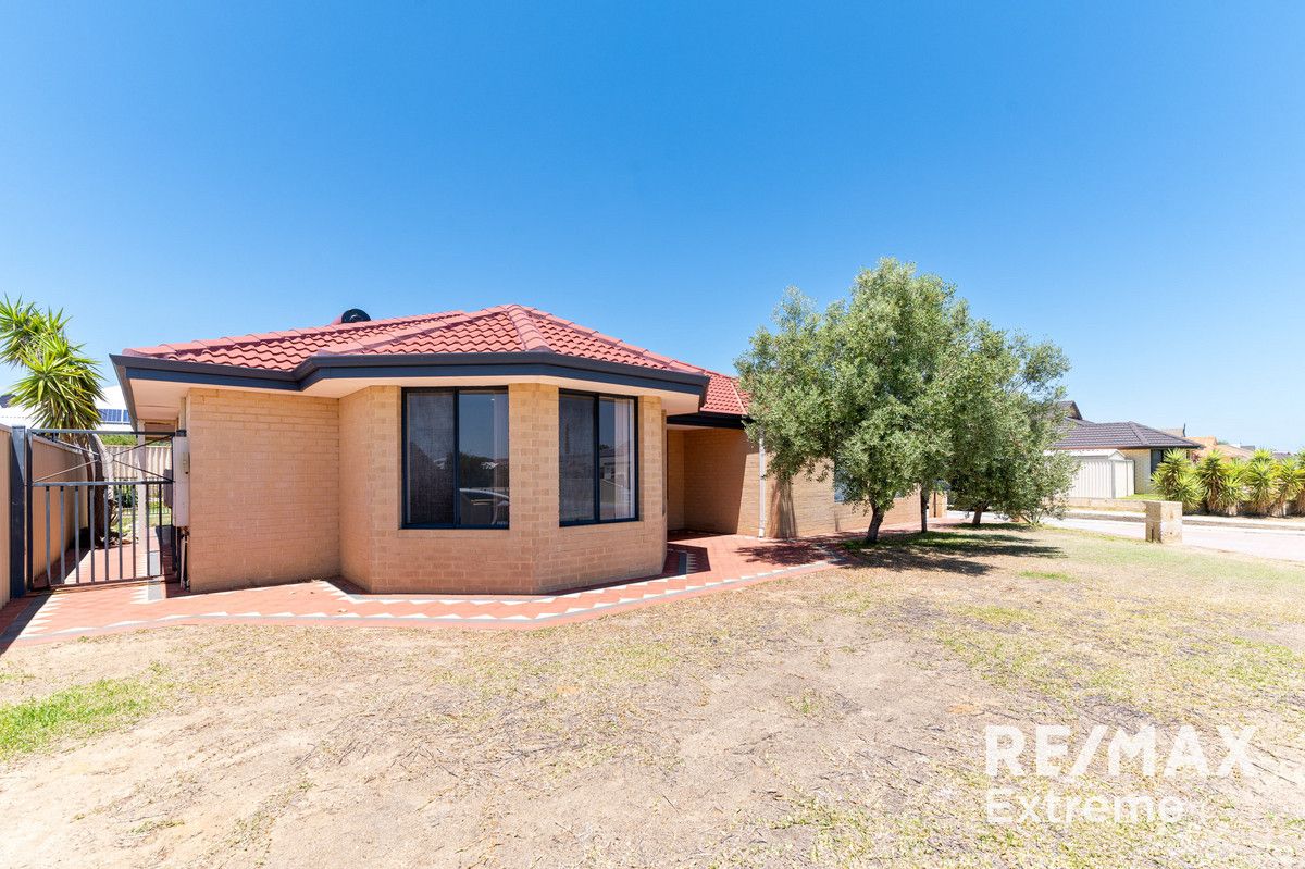 1 Redington Drive, Butler WA 6036 - House For Rent | Domain