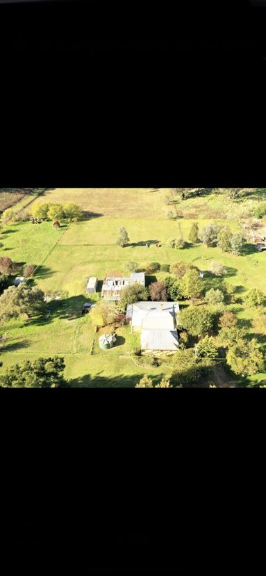 30 MURRINGO GAP ROAD, Murringo NSW 2586 - House For Rent | Domain