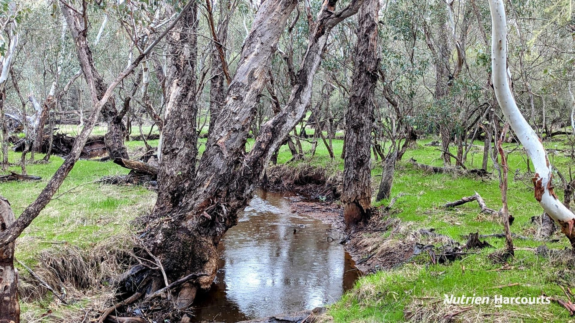 1530 Bindoon-Moora Road Mooliabeenee, Bindoon WA 6502 - Farm for Sale