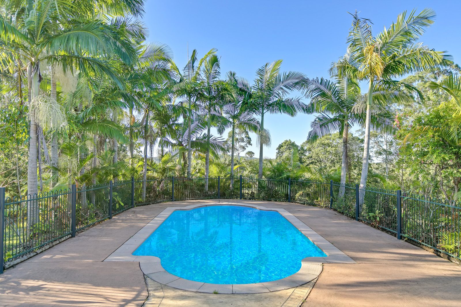 65 Chevallum School Road, Chevallum QLD 4555 - House For Rent | Domain