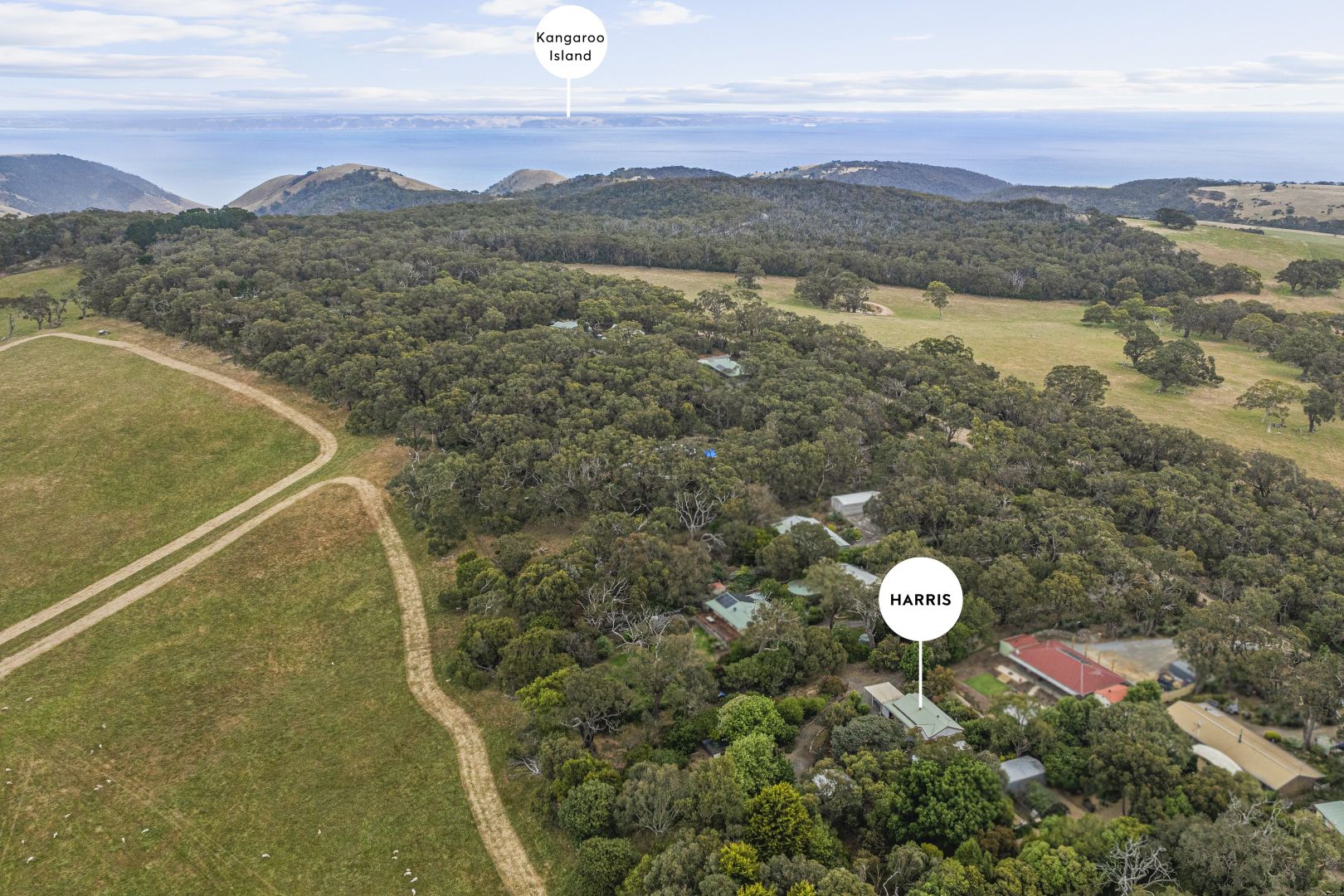 15 Silverton Court, Silverton SA 5204 | Domain