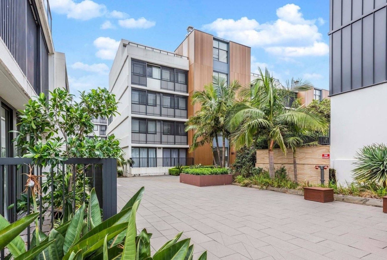 203E/1 Allengrove Crescent, North Ryde NSW 2113 - Apartment For Rent ...