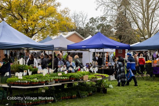 495 Real Estate Properties for Sale in Cobbitty, NSW, 2570 | Domain