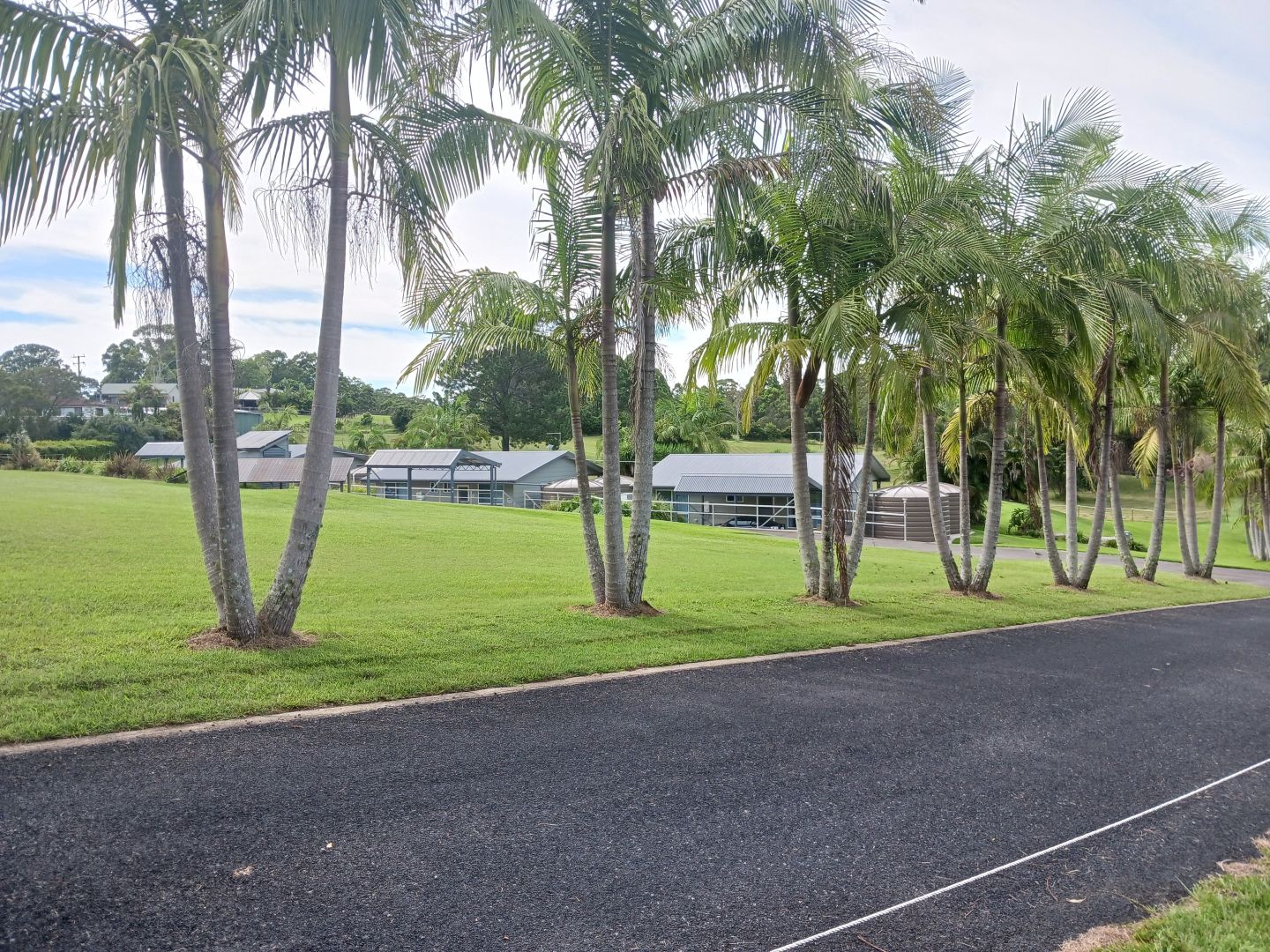 14 Williams Rd, Bonville NSW 2450 - House for Sale | Domain
