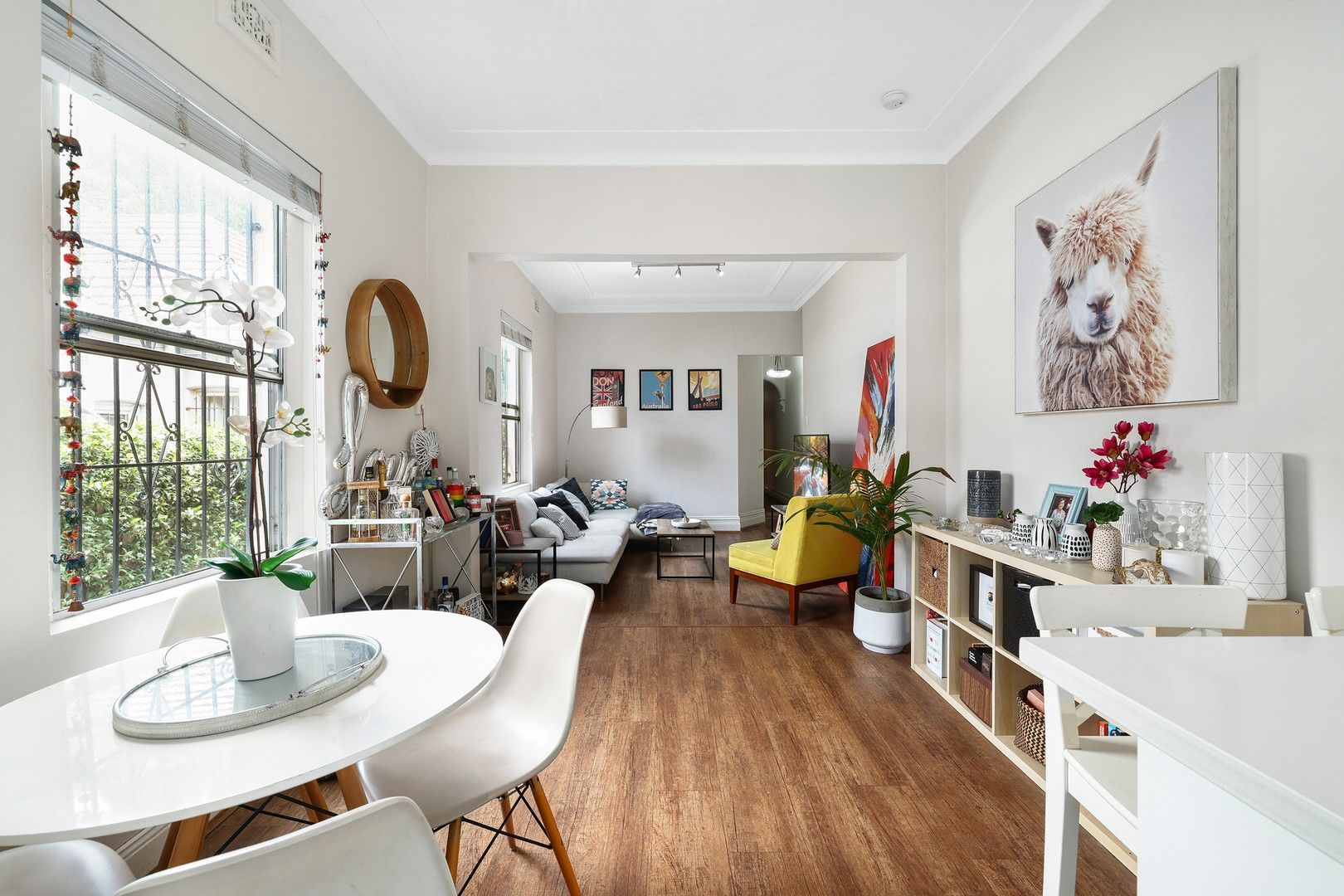 852 Elizabeth Street, Waterloo NSW 2017 - Terrace For Rent - $850 | Domain