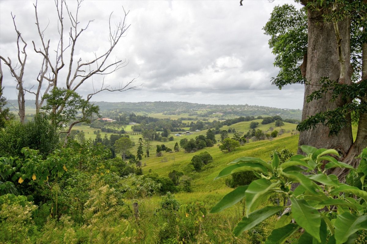 366 Dunoon Road, Tullera NSW 2480 | Domain