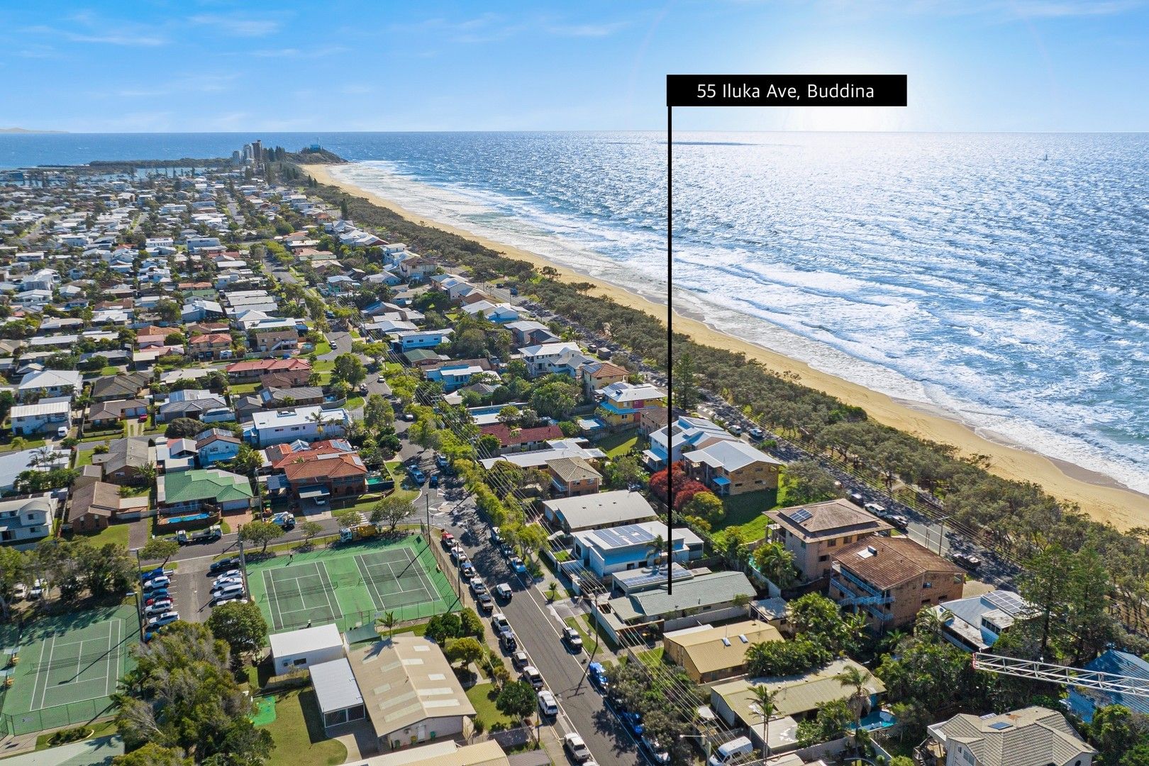 55 Iluka Avenue, Buddina QLD 4575 | Domain
