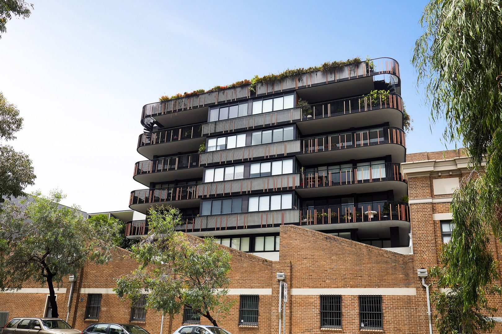 304/830 Elizabeth Street, Waterloo NSW 2017 - Apartment For Rent | Domain