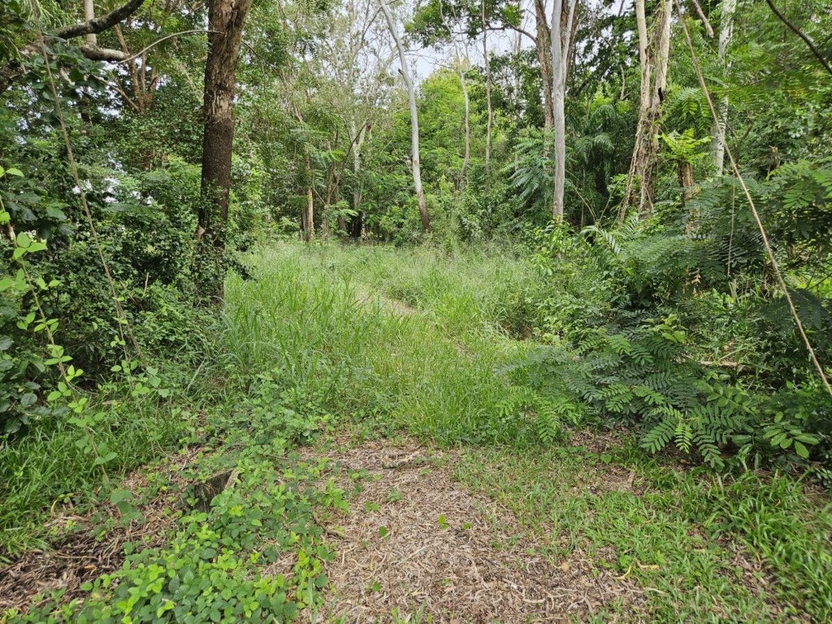16 Forrest Drive, Forrest Beach QLD 4850 | Domain