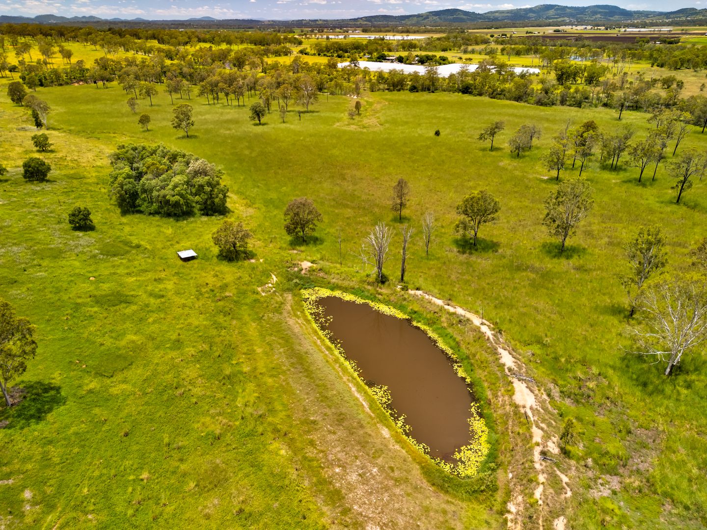 Lot 67 Beutels Rd, Patrick Estate QLD 4311 | Domain