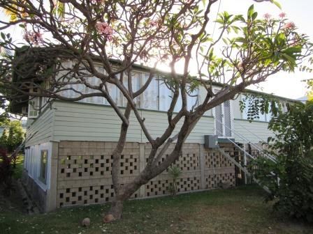 46 Cook Street, North Ward | Property History & Address Research | Domain