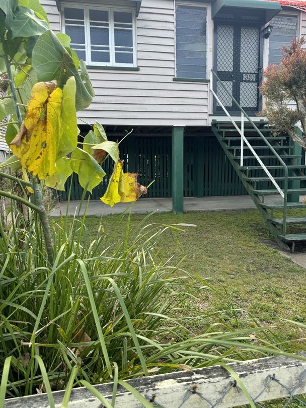 301 Albert Street, Maryborough QLD 4650 - House For Rent - $400 | Domain