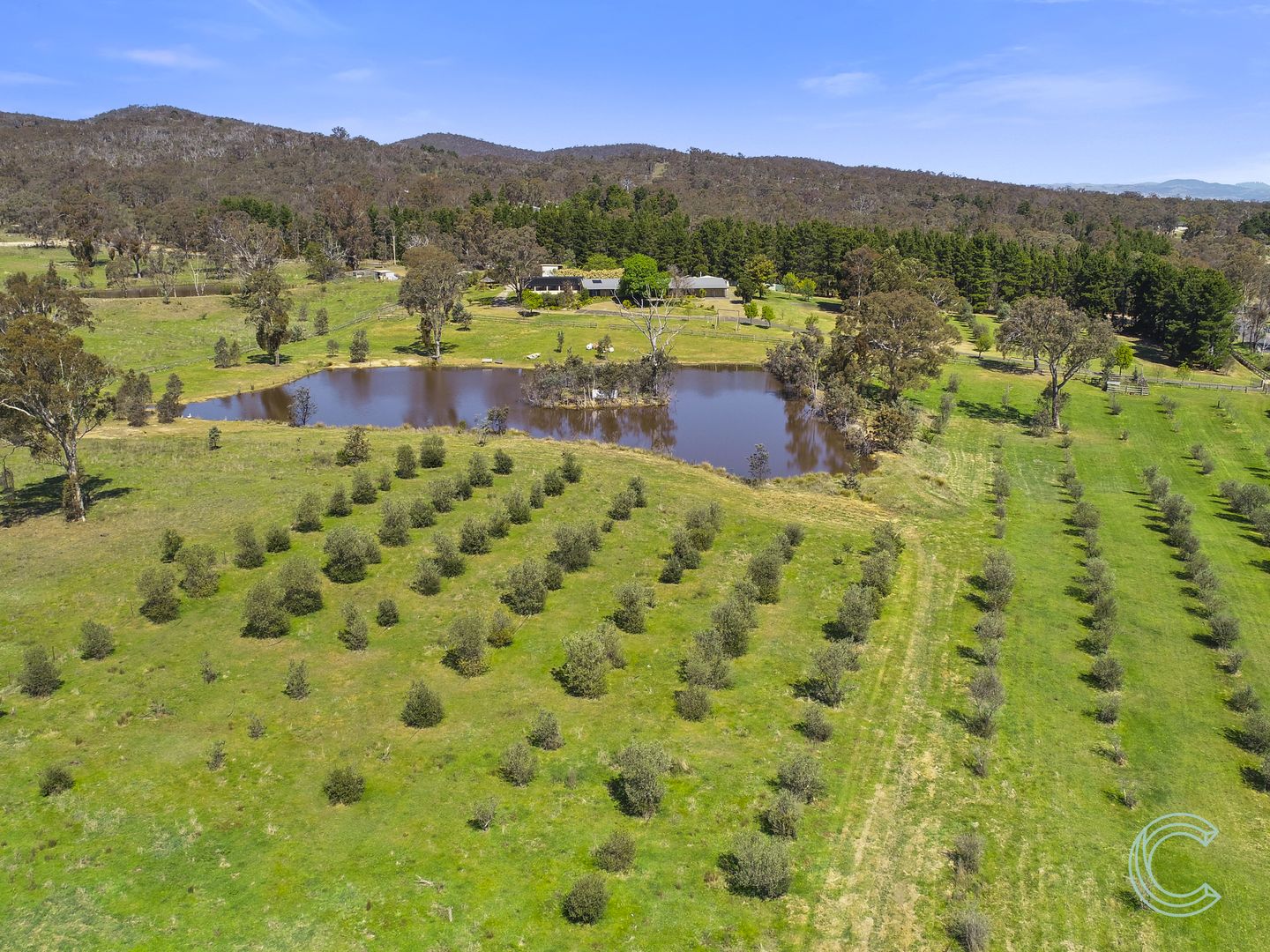 199 Bidges Road, Sutton NSW 2620 | Domain