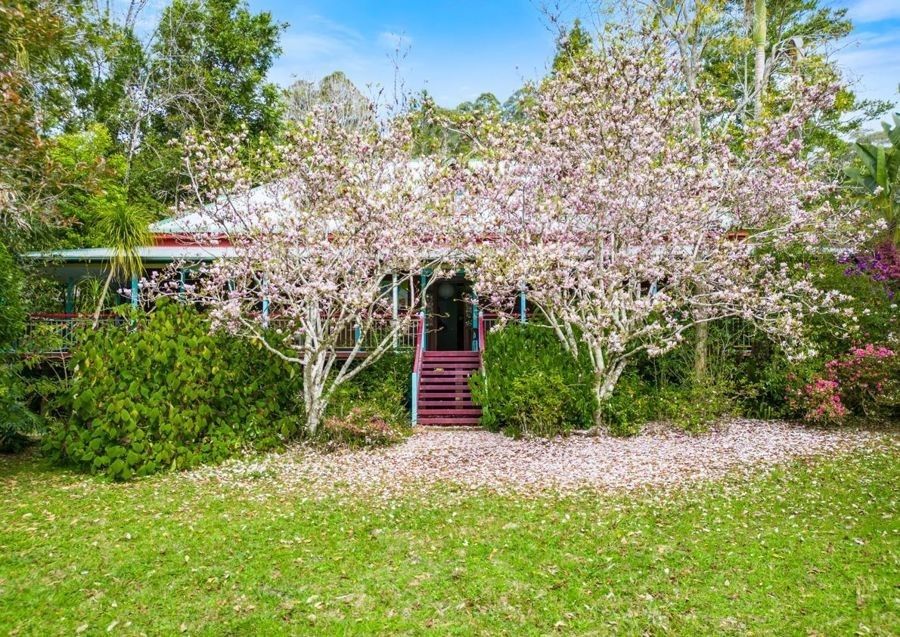 118 North Island Loop Road, Upper Orara NSW 2450 - House For Rent | Domain