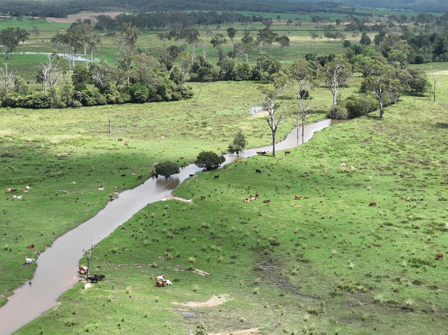 Blue Mountain QLD 4737 - House for Sale | Domain