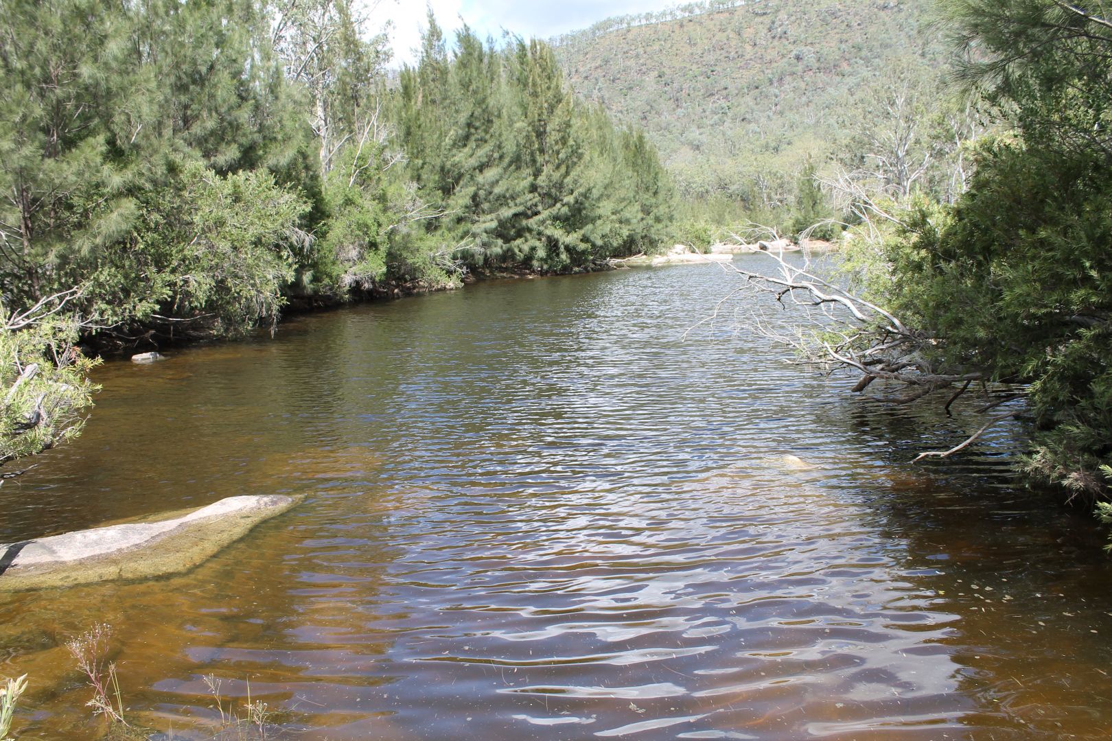 Lot 55 Waterhole Gully Road, Anduramba | Property History & Address ...