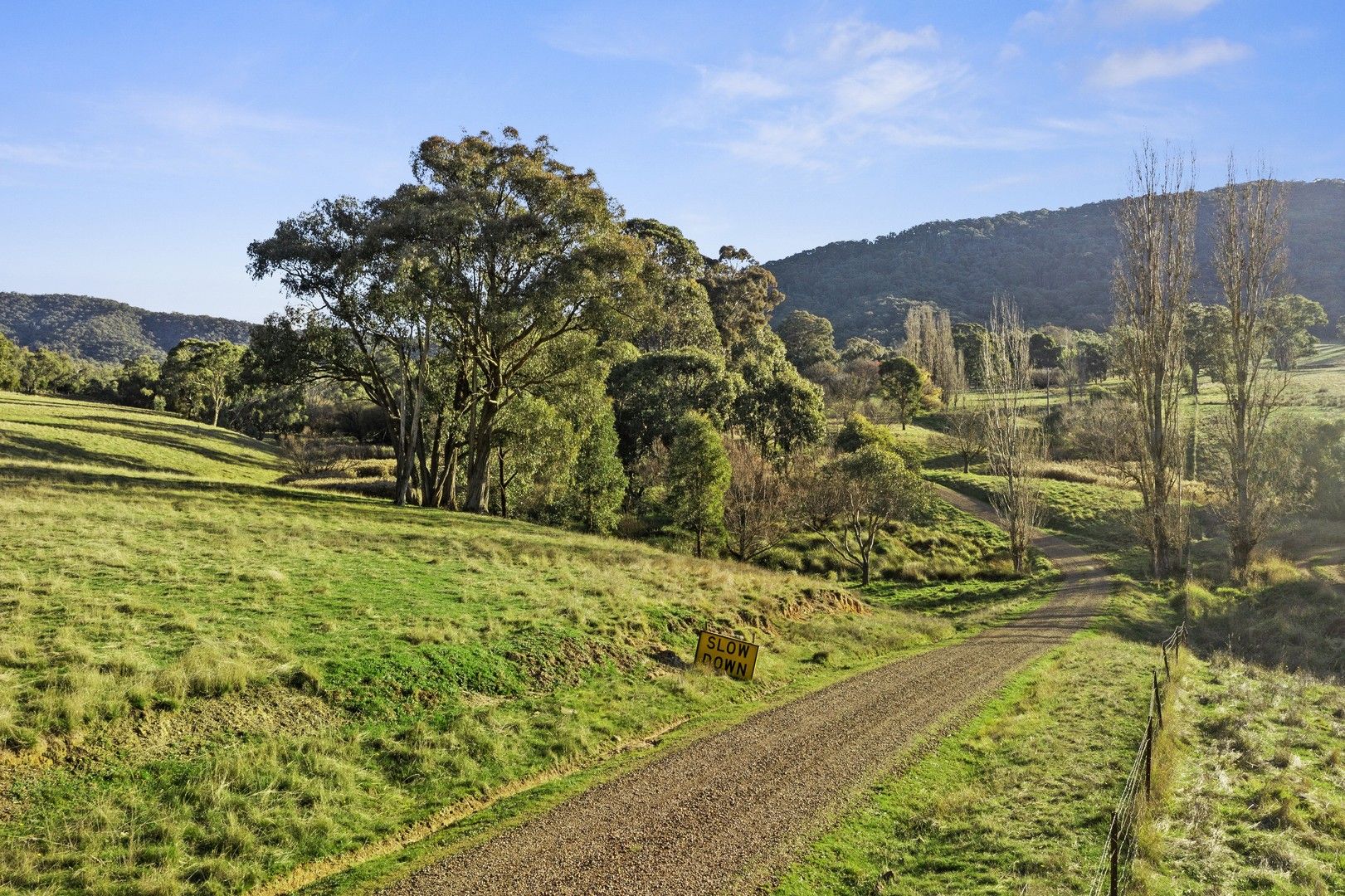 1439 Glen Creek Road, Barjarg VIC 3723 - House for Sale | Domain