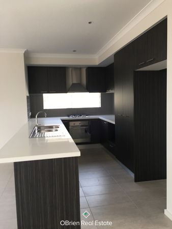 9 Sikes Road, Clyde North VIC 3978 - House For Rent | Domain