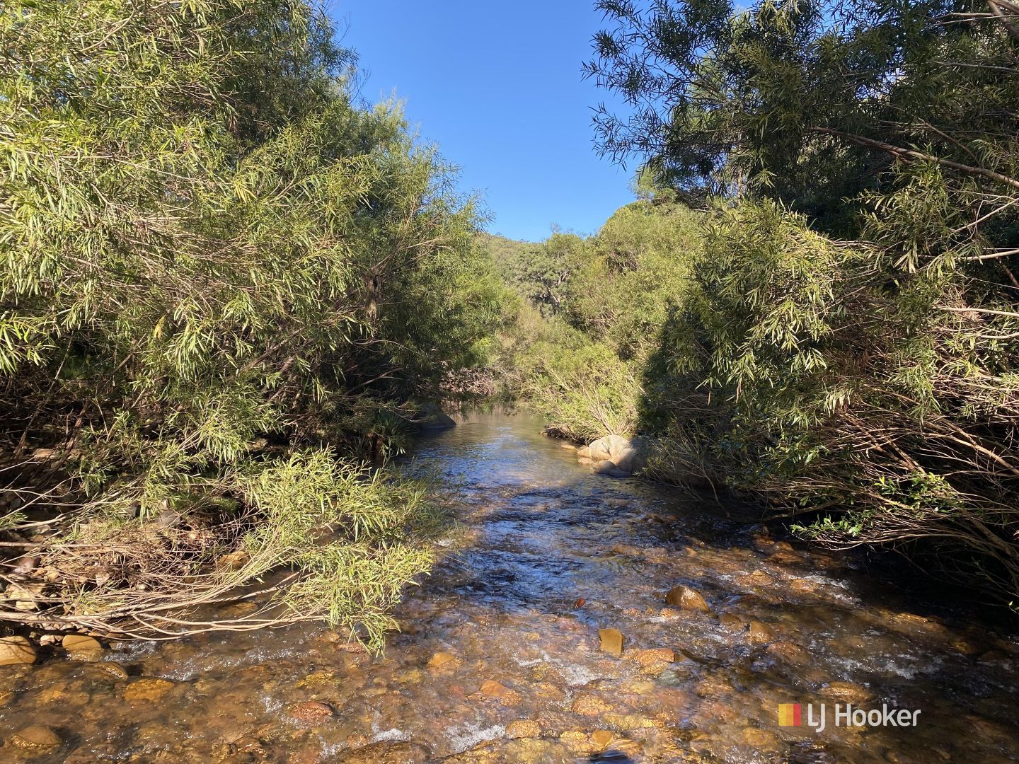 535 Hawks Head Road, Brogo NSW 2550 | Domain