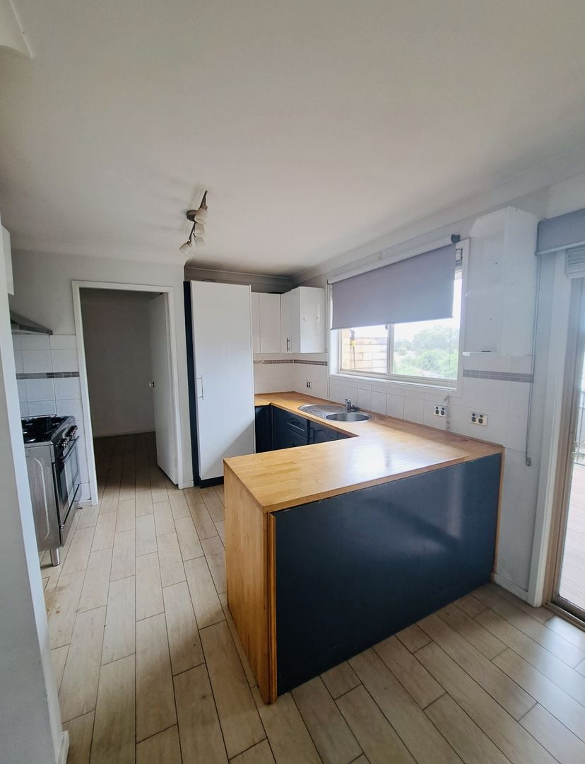 2 Peppermint Road, Muswellbrook NSW 2333 - House For Rent | Domain