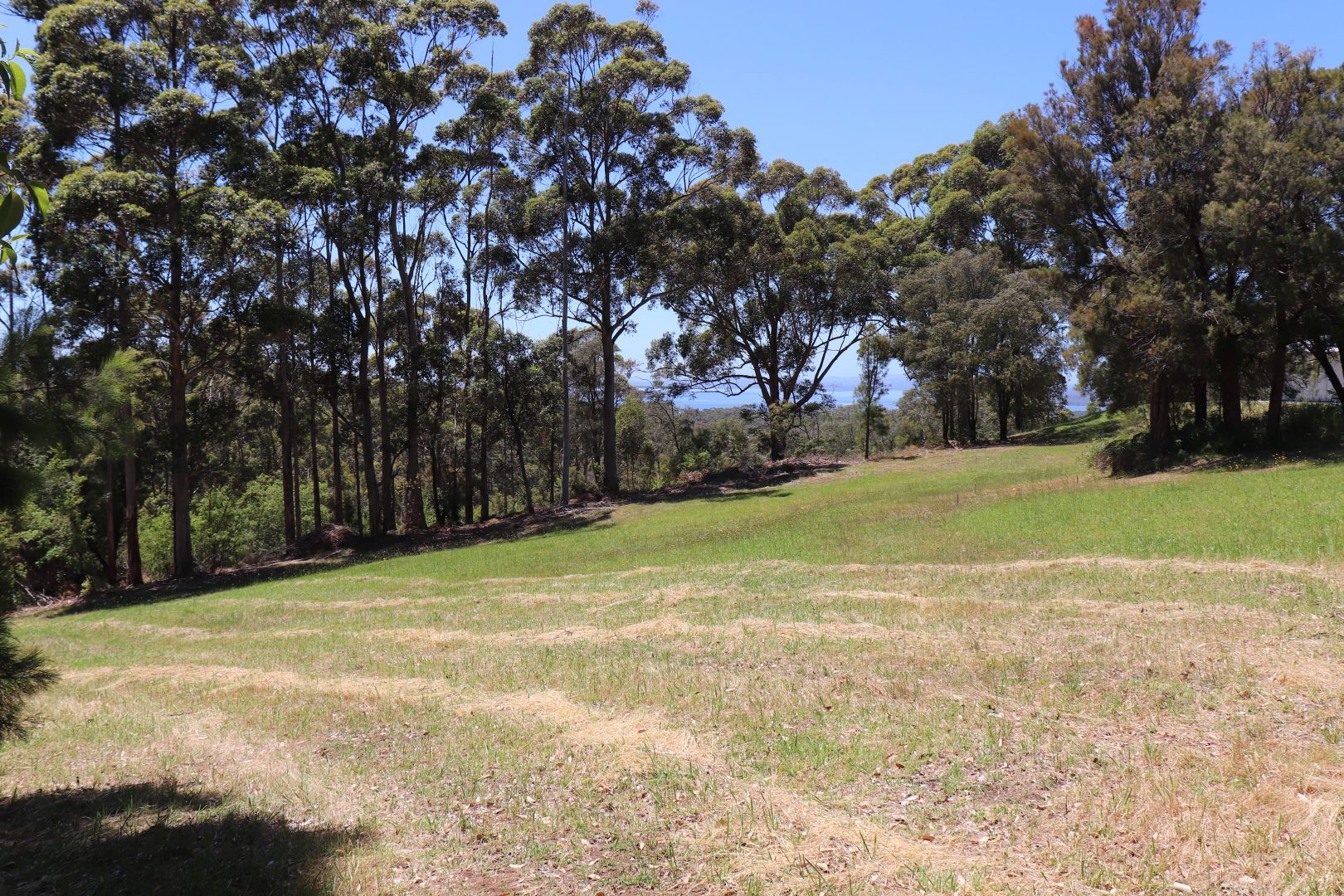 136 CUSSONS ROAD, Shadforth WA 6333 | Domain