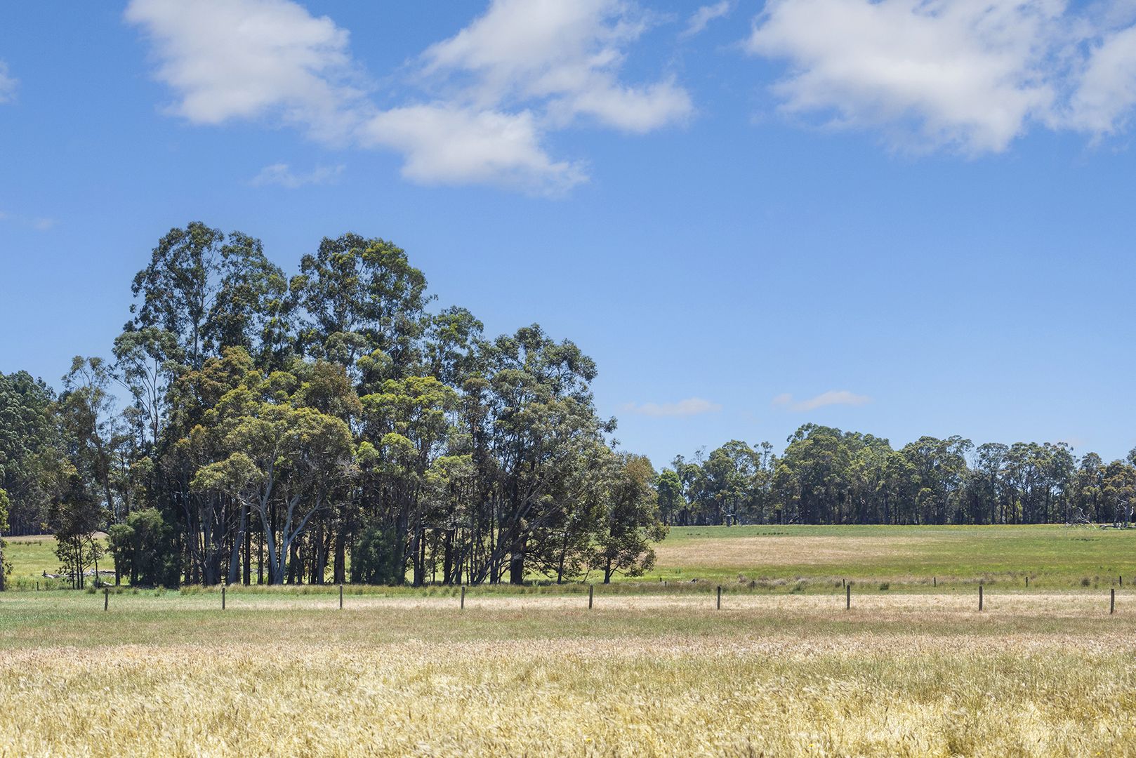 658 Manear Road, Rosa Glen WA 6285 - House for Sale | Domain