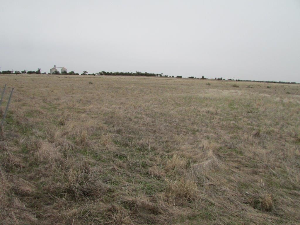 Lots 4 & 5 Goyura East Rd, Hopetoun VIC 3396 - House for Sale