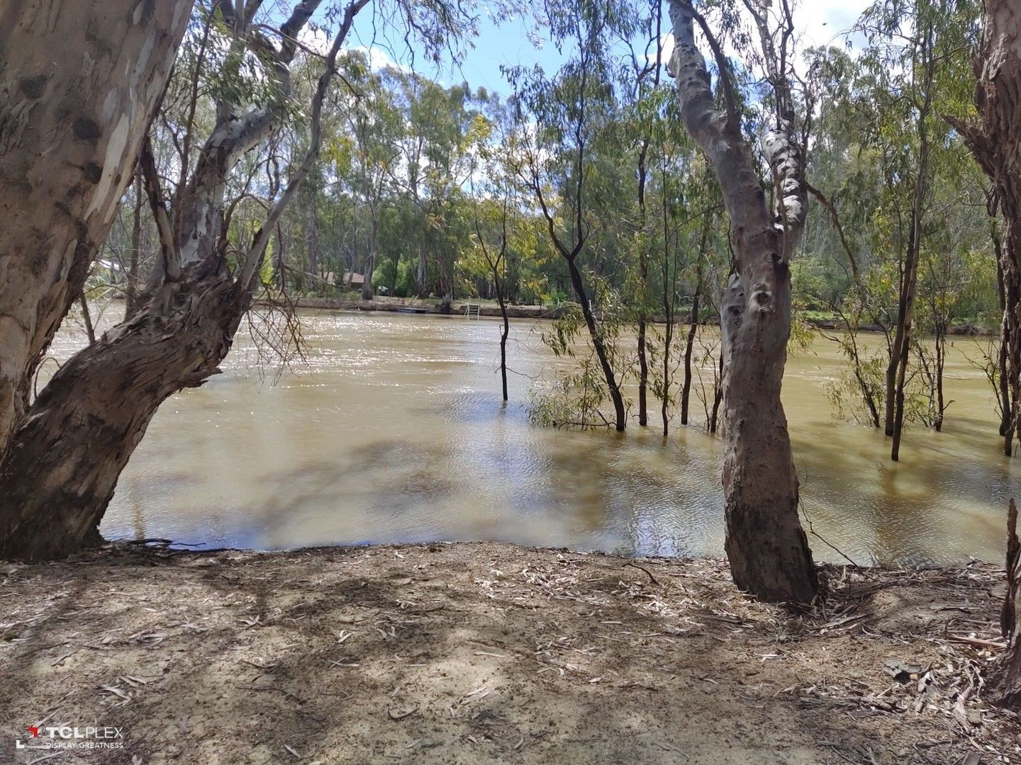 15 Armstrong Drive, Barham NSW 2732 | Domain