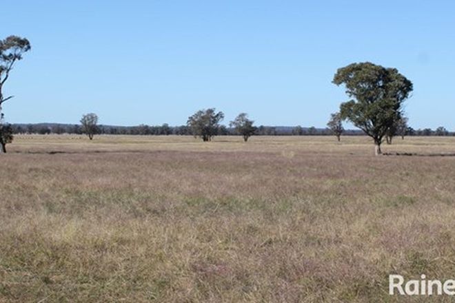 304 Real Estate Properties for Sale in Trundle, NSW, 2875 | Domain