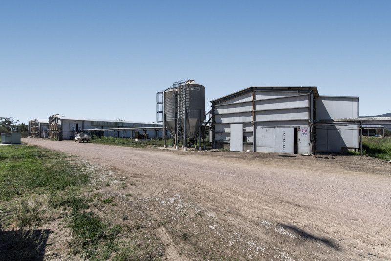 300 & 360 Allambie Lane, Gumlow QLD 4815 - Specialist Farm for Sale