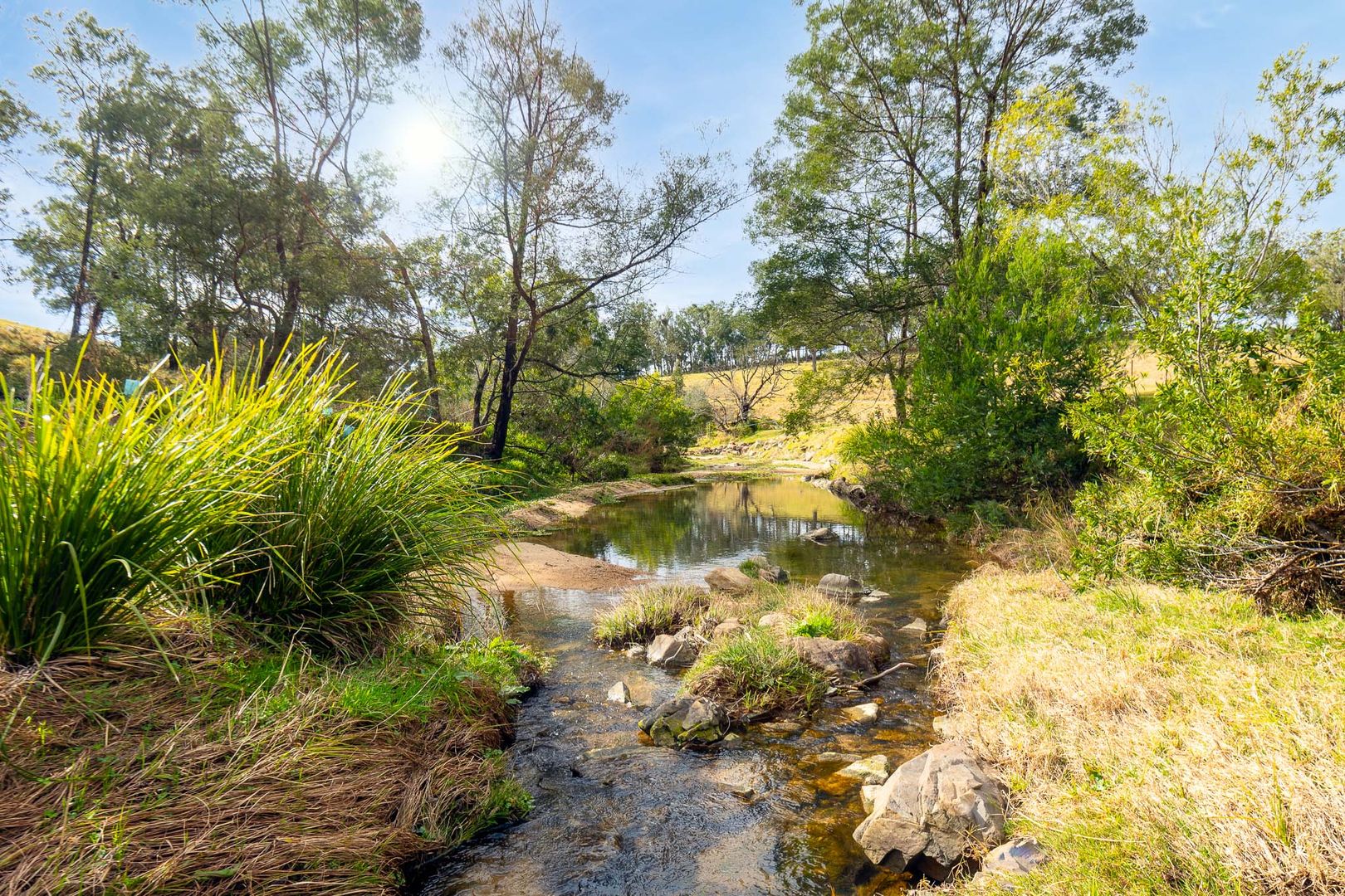 184 Barrabaroo Road, Cobargo NSW 2550 | Domain
